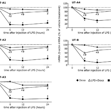 Regulatory T Cell Development The Phenotype Of Different Stages Of Download Scientific Diagram