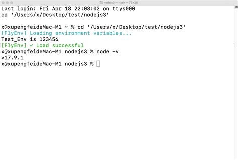 flyenv project level environment isolation guide flyenv