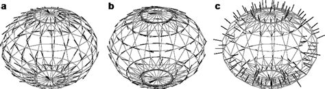 Illustration Of Local Gauges A B Local Gauges Were Fitted To Eight Download Scientific Diagram