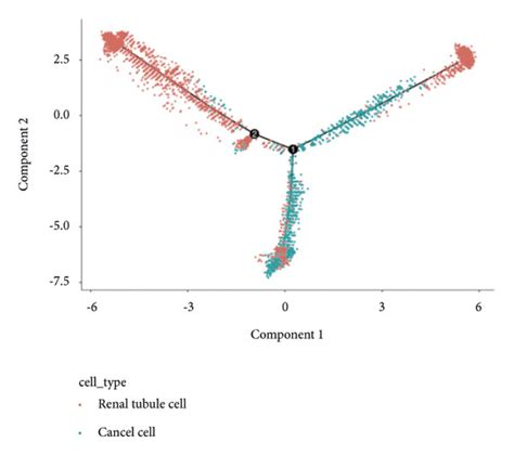 cell clustering and trajectory analysis based on the scrna seq data