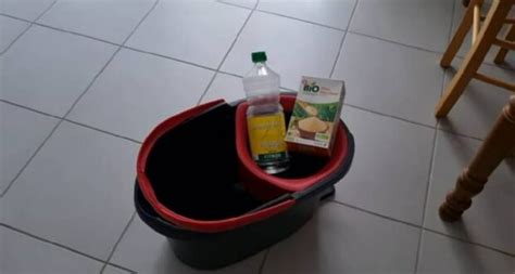 Що додати у воду щоб швидко відмити підлогу Читайте на Ukr Net