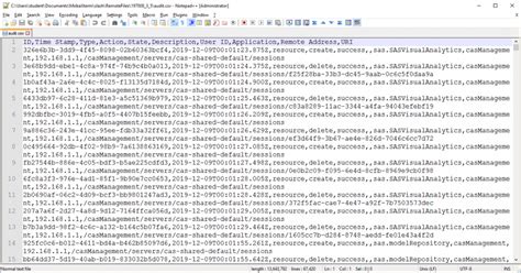 a look at genaudit and the data behind the user activity report sas