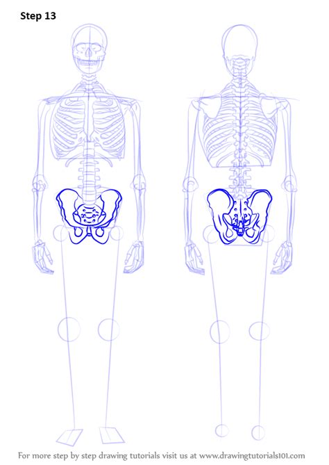 How To Draw A Skeleton DrawingTutorials101 Com Skeleton Drawings Skeleton Art Drawing