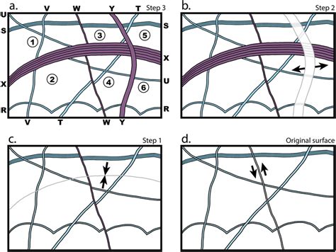 sequential reconstruction of hypothetical sketch area from figure 2