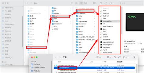 Mac电脑：selenium及chromedriver安装 知乎