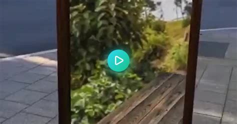 Imgur15 Album On Imgur