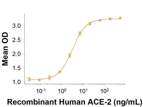 Recombinant Sars Cov Spike Rbd Fc Chimera Protein Cf 10582 Cv 100 Randd