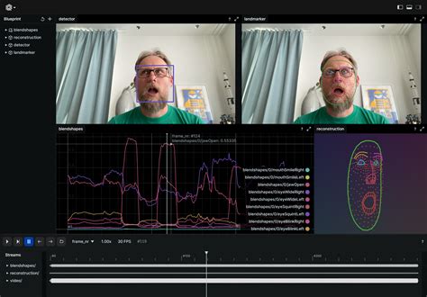 screenshot of the rerun visualization of the mediapipe face detector