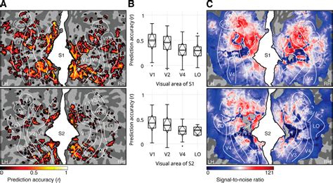 deep neural networks reveal a gradient in the complexity of neural representations across the