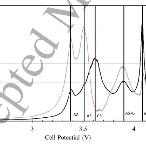 Cell Velocity Black Line Anode Electrode Total Velocity Dashed