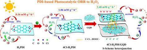 深入了解湾 端取代的苝二亚胺及其 S 型异质结，以增强可见光照射下光催化 H2o2 的产生 Journal Of Materials Science And Technology X Mol