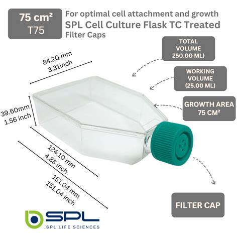 Spl Cell Culture Flask 75 Cm2 T75 Filter Cap Treated Sterile 100