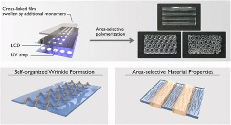 Digital Photopatterning Designing Functional Multipolymeric Patterning