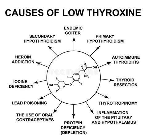 Thyroxine Hormone Molecule Chemical Structure Stock Image