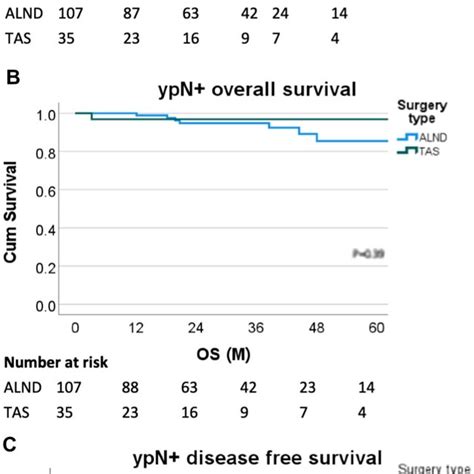 Patient Nodal Pathological Status Download Scientific Diagram