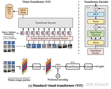 Mobilevit：挑战mobilenet端侧霸主 知乎