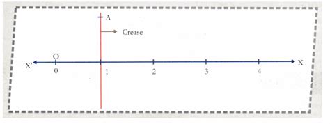 Cbse Class 9 Maths Lab Manual An Irrational Number Cbse Sample Papers
