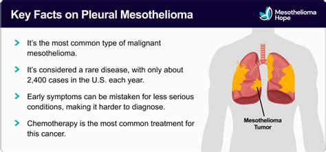 Pleural Mesothelioma Symptoms Treatment And Survival