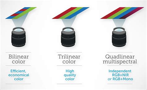color line scan imaging teledyne dalsa