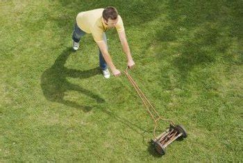 What Is Scalping a Lawn? | Home Guides | SF Gate
