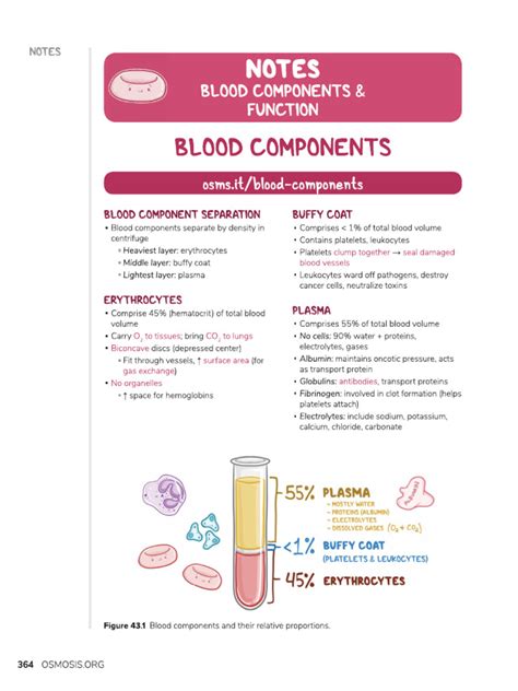 Hematology Pdf