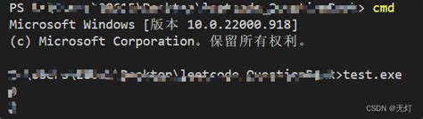 vscode终端无法运行编译生成的exe文件解决方法 vscode生成的exe无法运行 csdn博客