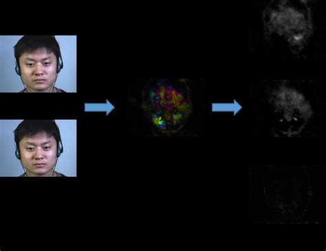 Motion Magnification Via Pbvm And Evm Sample Frame Comes From The Download Scientific Diagram