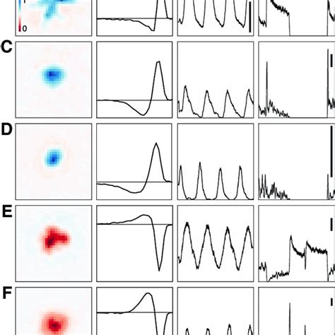 Comparison Of Contrast Response Functions Across Rgc Types A Contrast