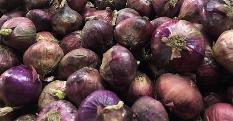 Philippines to import 35,000 metric tons of red onions to cover ...