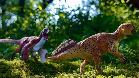 Stalking Psittacosaurus Rdinotoys