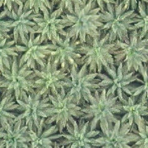 Ta Object Detection Dataset By Icinnn