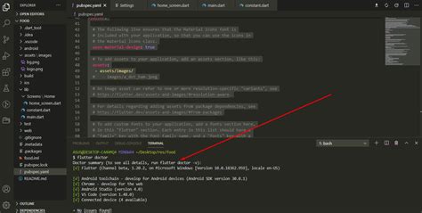 Image Asset Is Not Loading On Web · Issue 64154 · Flutterflutter · Github