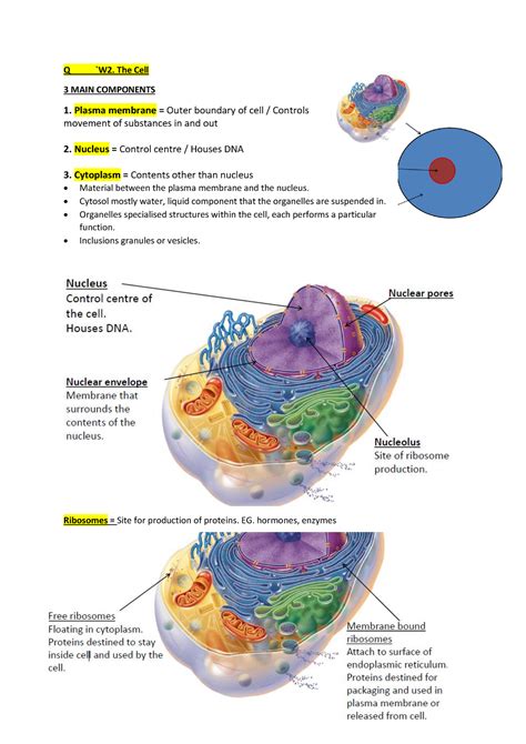 W2 Revision The Cell Converted Warning Tt Undefined Function 32
