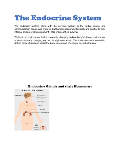 Life Sciences Class Notes Pdf Endocrine System Thyroid