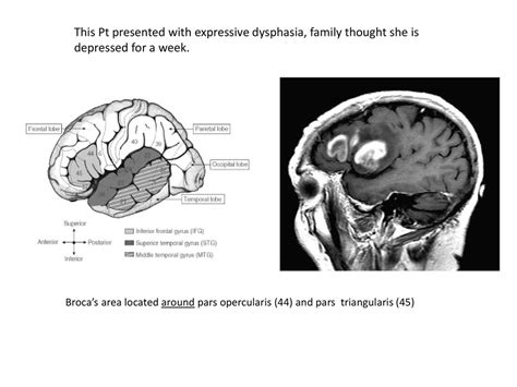 Neuroexam General Vitals And Appearance Ppt Download