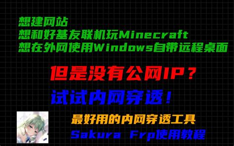 樱花sakura frp免费内网穿透 minecraft开服联机教程