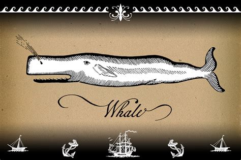 Geographica Script A Roundhand Script Font That Simulates The Penmanship On 18th