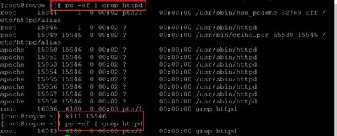 linux虚拟机（centos5）学习笔记（二）之基本命令 centos5命令 csdn博客