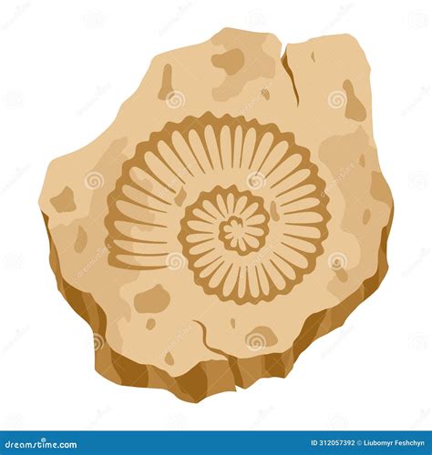 Fossil Stone With Bones Imprint Archeology Paleontology Old Fossilized Rock With Organic