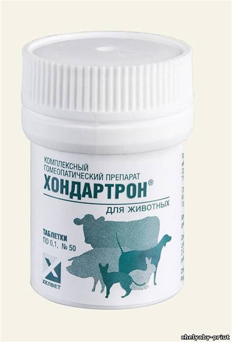 Хондартрон для собак: инструкция и показания к применению, отзывы, цена