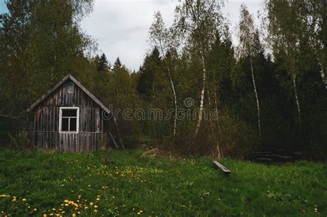 Hidden In The Forest Stock Image Image Of Rural Cottage 183677153
