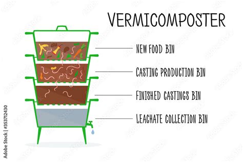 Vector Illustration Of Vermicomposter Structure Concept Of Recycling