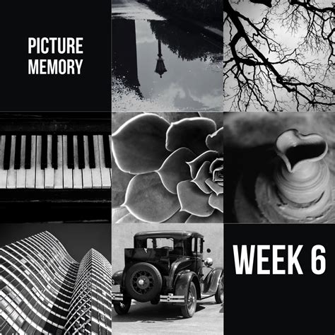 Psyc Week Picture Memory