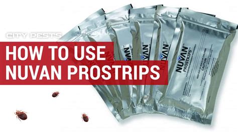 How To Use Nuvan Prostrips To Kill Bed Bugs Risks And Dangers