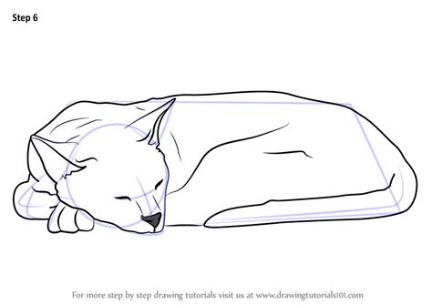How To Draw A Sleeping Cat Cats Step By Step