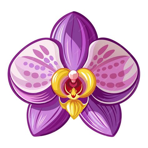 Premium Vector Orchid Flower Clipart Cartoon Style Vector Illustration