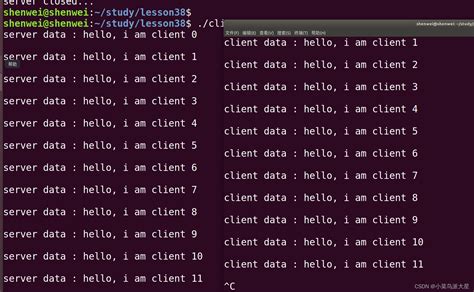 linux程序设计之本地套接字通信 本地套接字和共享内存 csdn博客