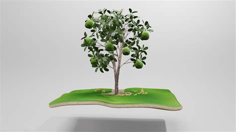 Guava Tree 3d Model Cgtrader