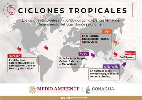 ¿cuándo Comienza La Temporada De Huracanes En México Esta Es La Fecha